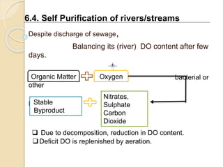 Sewage Disposal | PPTX