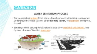 Sanitation | PPTX