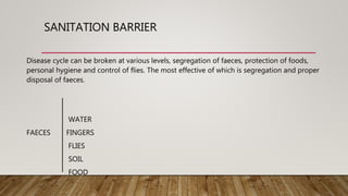 Sanitation | PPTX