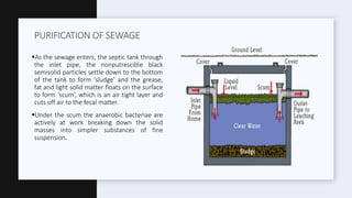 Sanitary measures (Environment and Health) | PPTX
