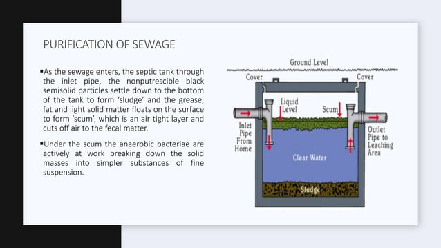 Sanitary measures (Environment and Health) | PPTX | Indoor ...