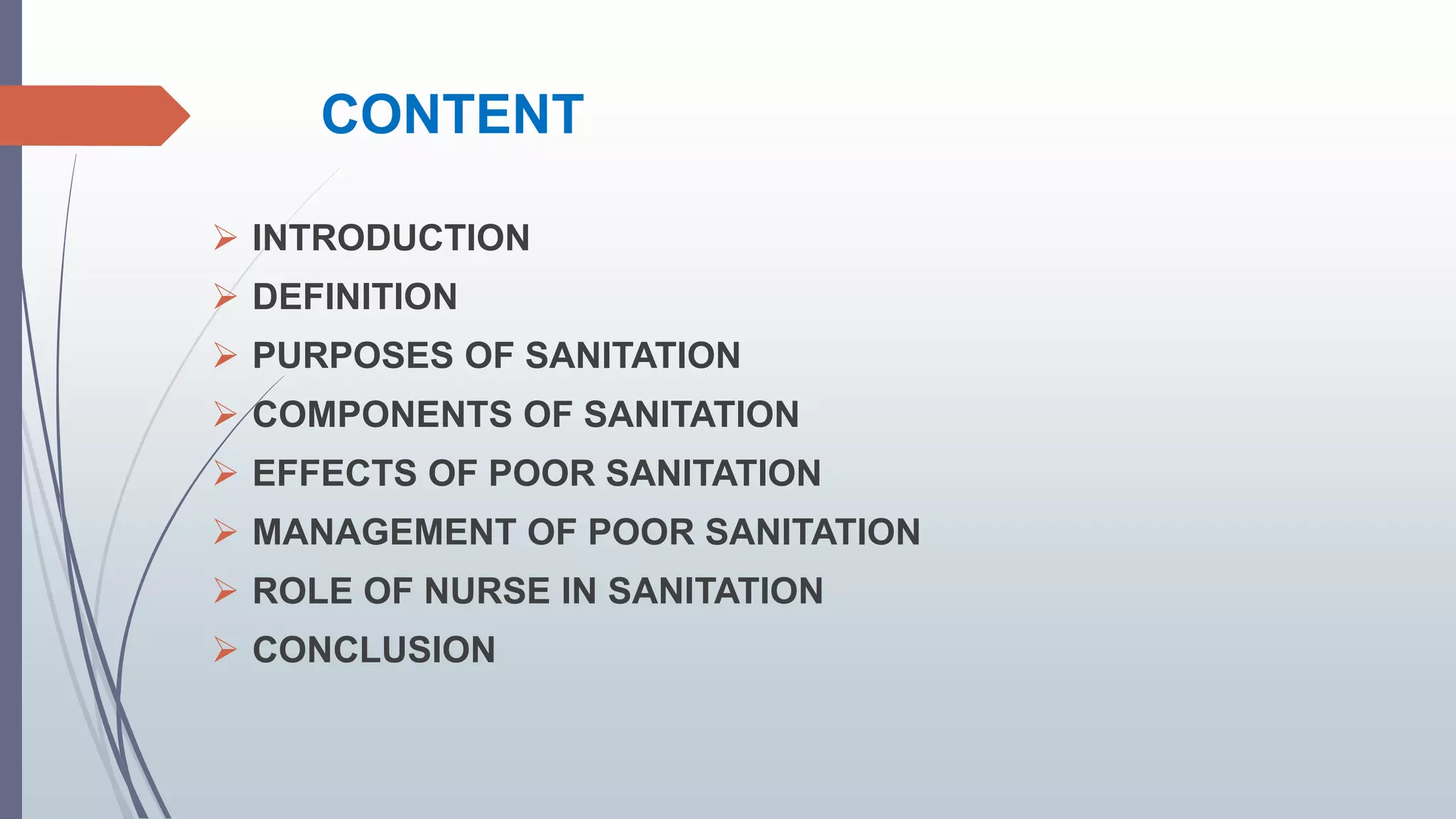 Sanitation | PPTX