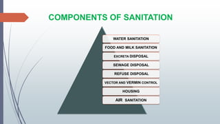 Sanitation | PPTX