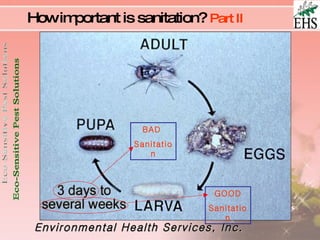 Pest Management In Commercial Food Establishments | PPT