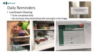 Cleaning and Sanitation | PPTX