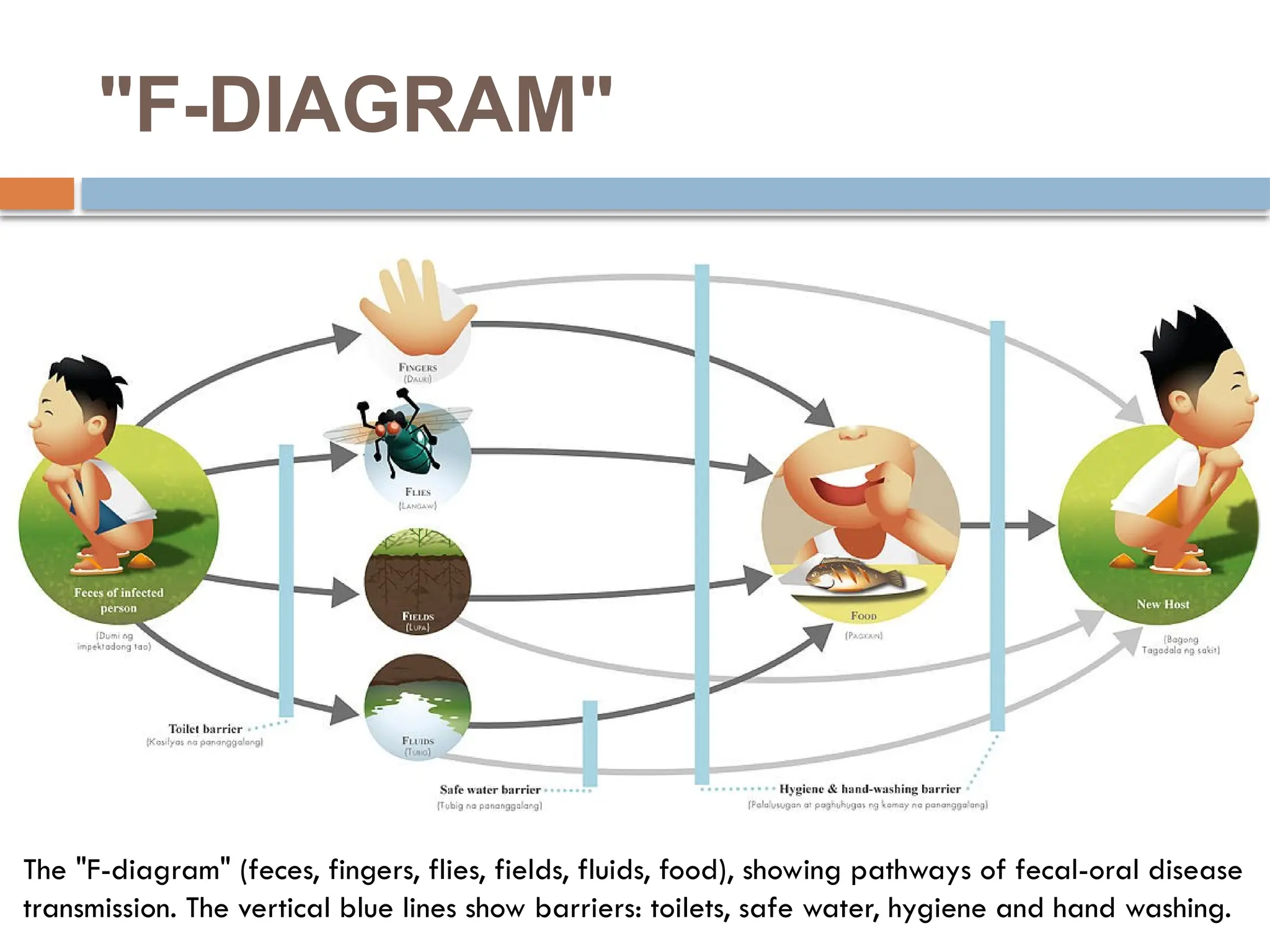 Sanitation and Hygiene: an explainer for families | PPTX
