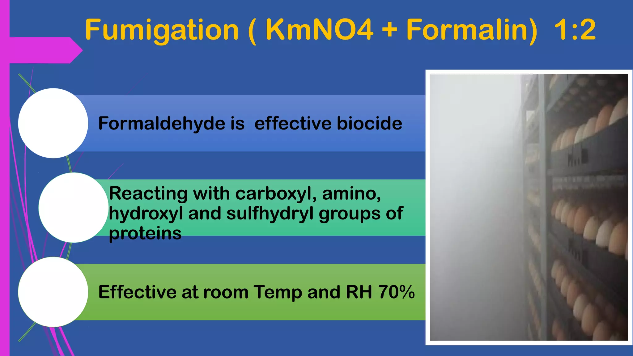 Sanitation disinfection and fumigation in hatchery by Dr M. Ashiq Toor ...