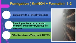 Sanitation disinfection and fumigation in hatchery by Dr M. Ashiq Toor ...