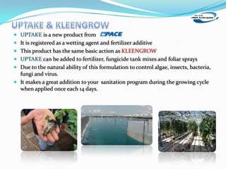 GREENHOUSE SANITATION = HIGHER YIELDS | PPTX