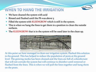 GREENHOUSE SANITATION = HIGHER YIELDS | PPTX