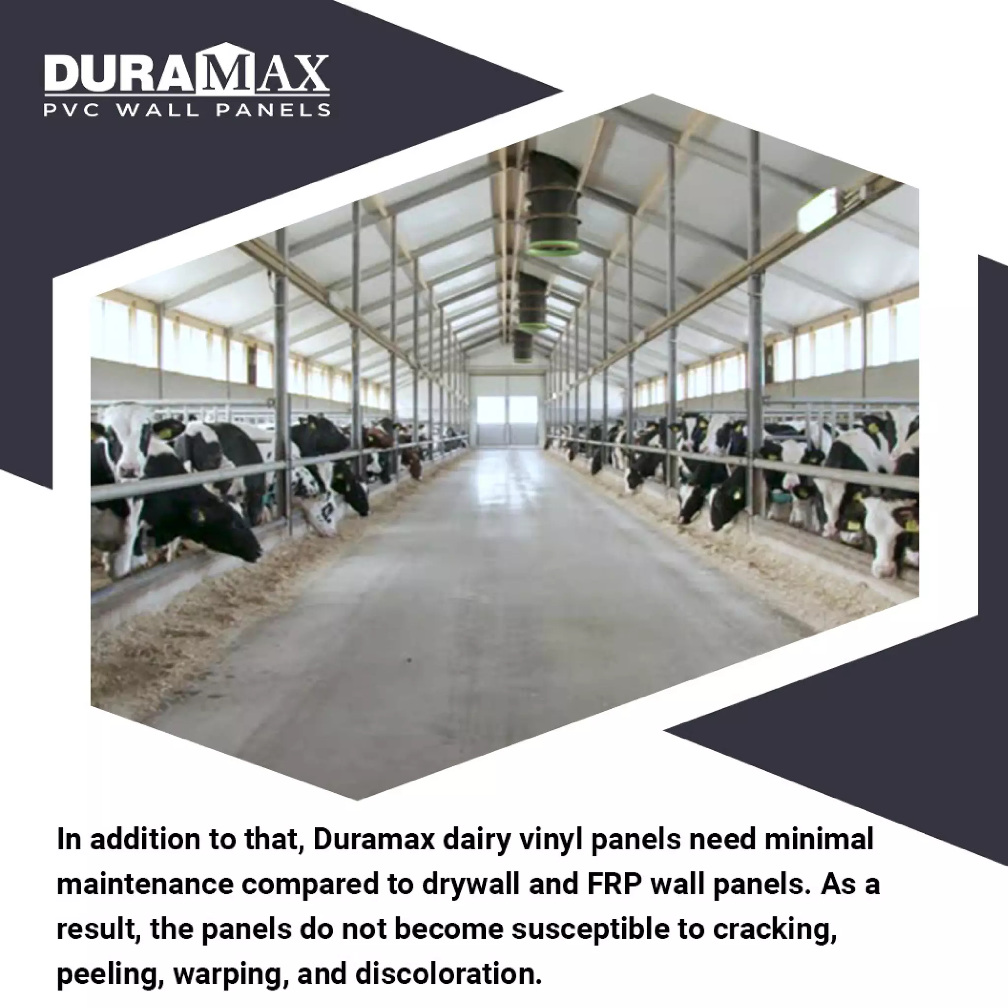 Sanitization of a Dairy Parlor is Easy with Duramax PVC Wall Panels | PDF
