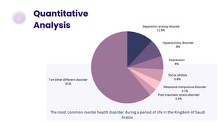 Sanity Documentation.pdf