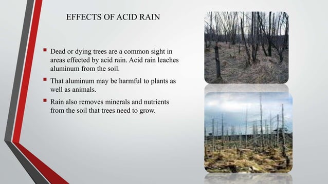 SANJANA 1GG21CS042.pptx*"xxxxxxxxxxxddddddd | PPTX