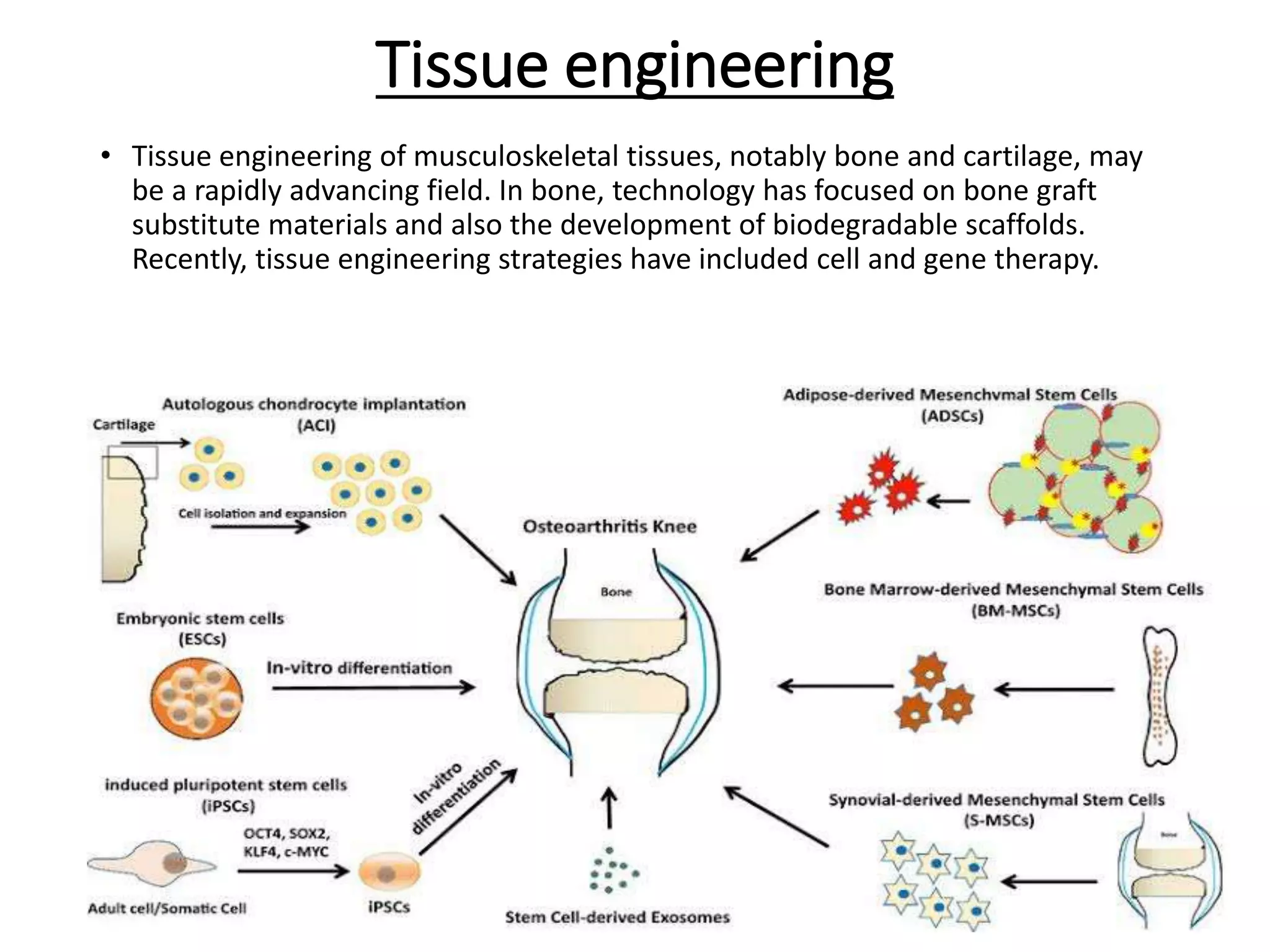 tissue engineering by sanjana pandey | PPT