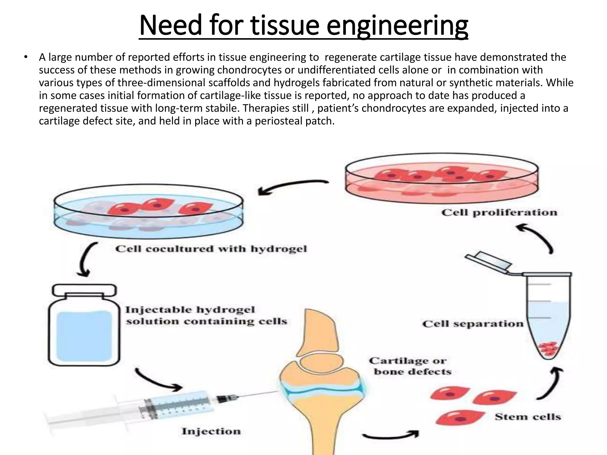 tissue engineering by sanjana pandey | PPT