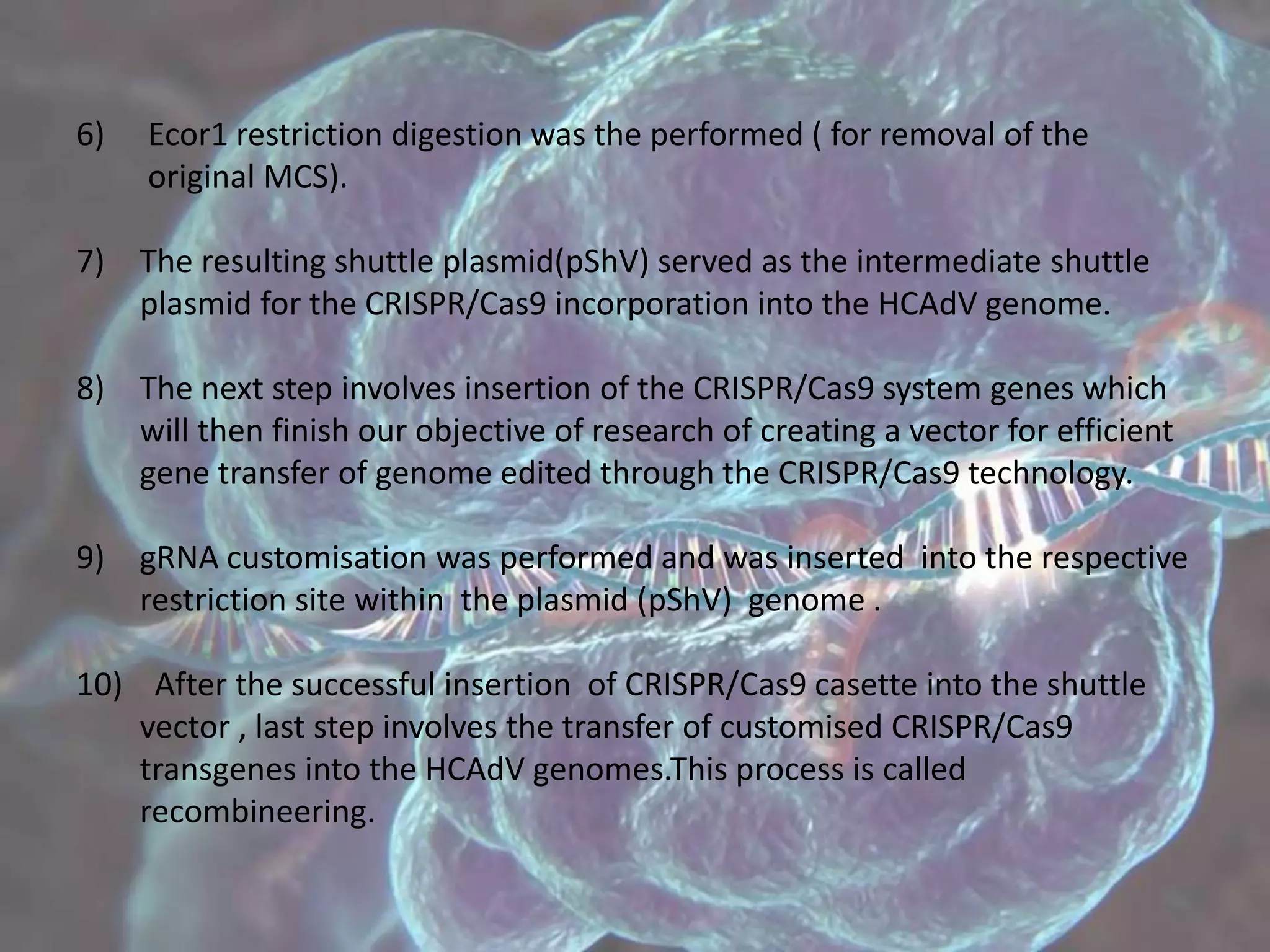 CRISPR/CAS9 ppt by sanjana pandey | PPTX | Programming Languages ...