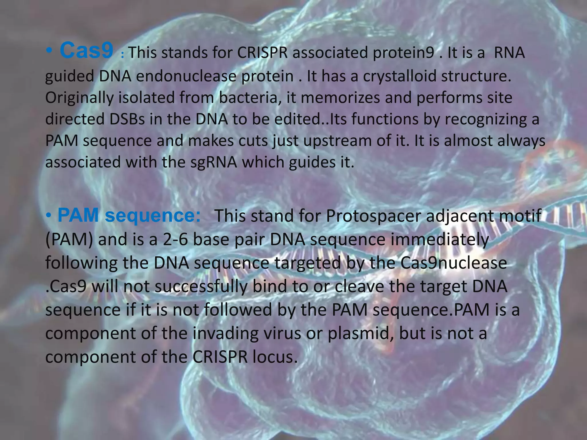 CRISPR/CAS9 ppt by sanjana pandey | PPTX | Programming Languages | Computing
