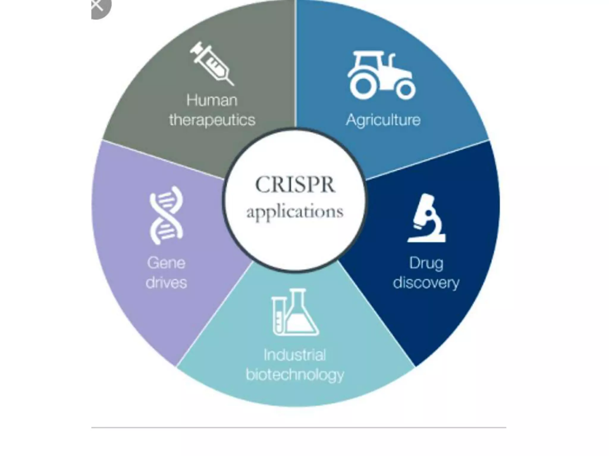 CRISPR/CAS9 ppt by sanjana pandey | PPTX