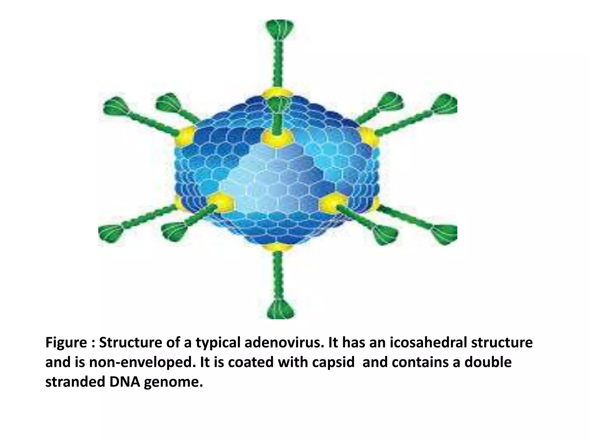CRISPR/CAS9 ppt by sanjana pandey | PPTX | Programming Languages ...