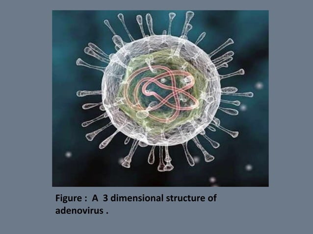 CRISPR/CAS9 ppt by sanjana pandey | PPTX | Programming Languages ...