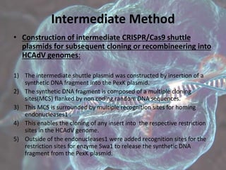 CRISPR/CAS9 ppt by sanjana pandey | PPTX