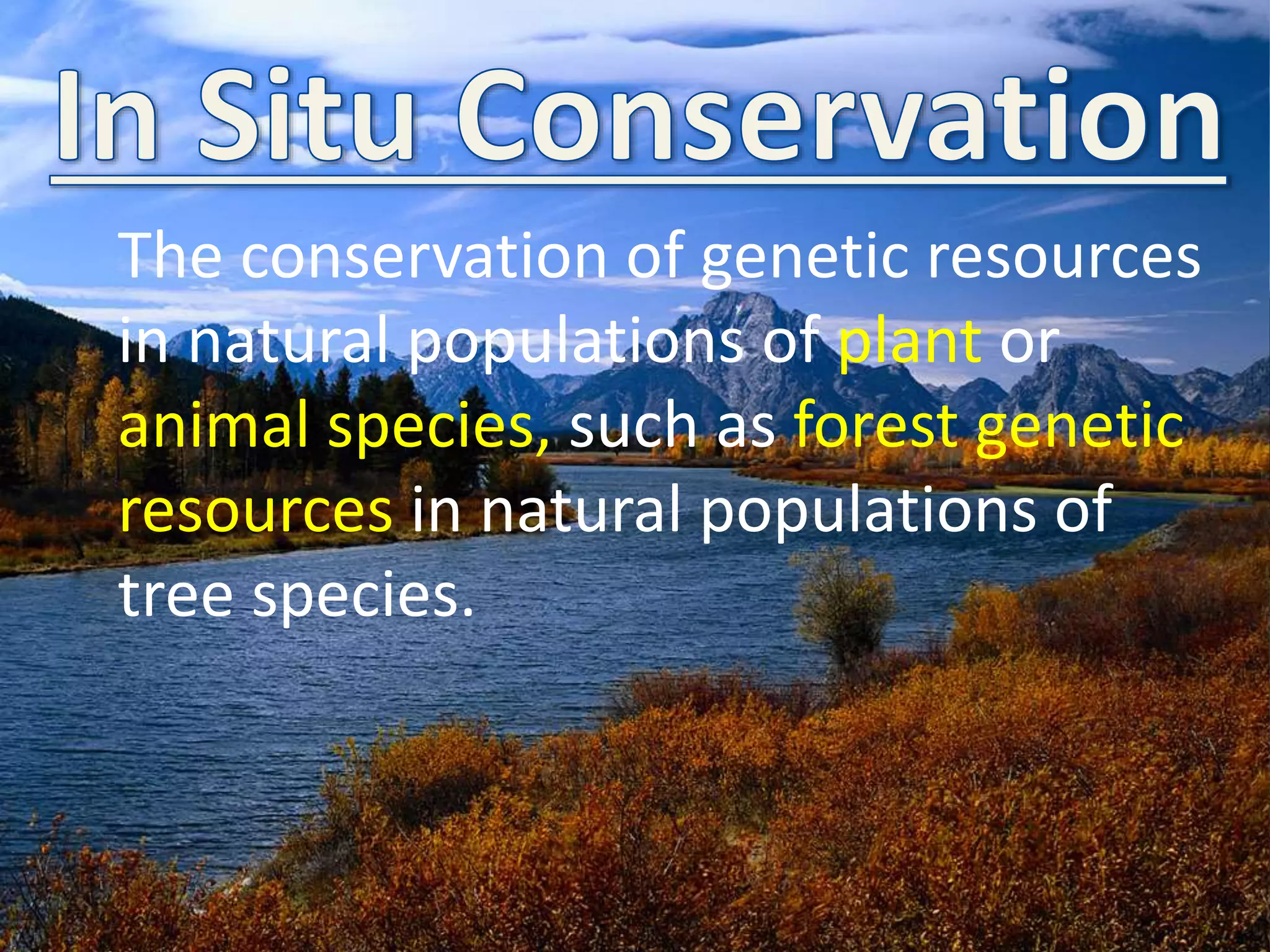 In Situ vs Ex Situ Conservation | PPTX