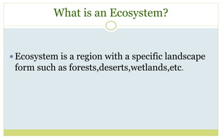 structure of ecosystem | PPTX