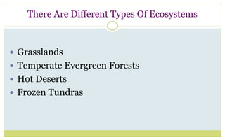 structure of ecosystem | PPTX