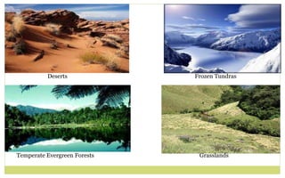 structure of ecosystem | PPTX