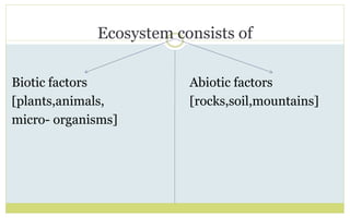 structure of ecosystem | PPTX
