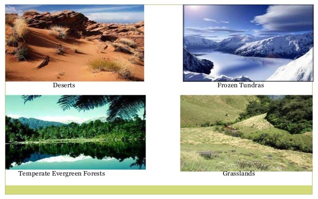 structure of ecosystem