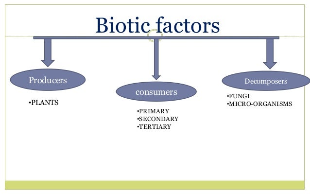 structure of ecosystem