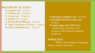 Salmonella sp., | PPTX