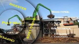 manufacturing Paper and pulp mill process | PPTX