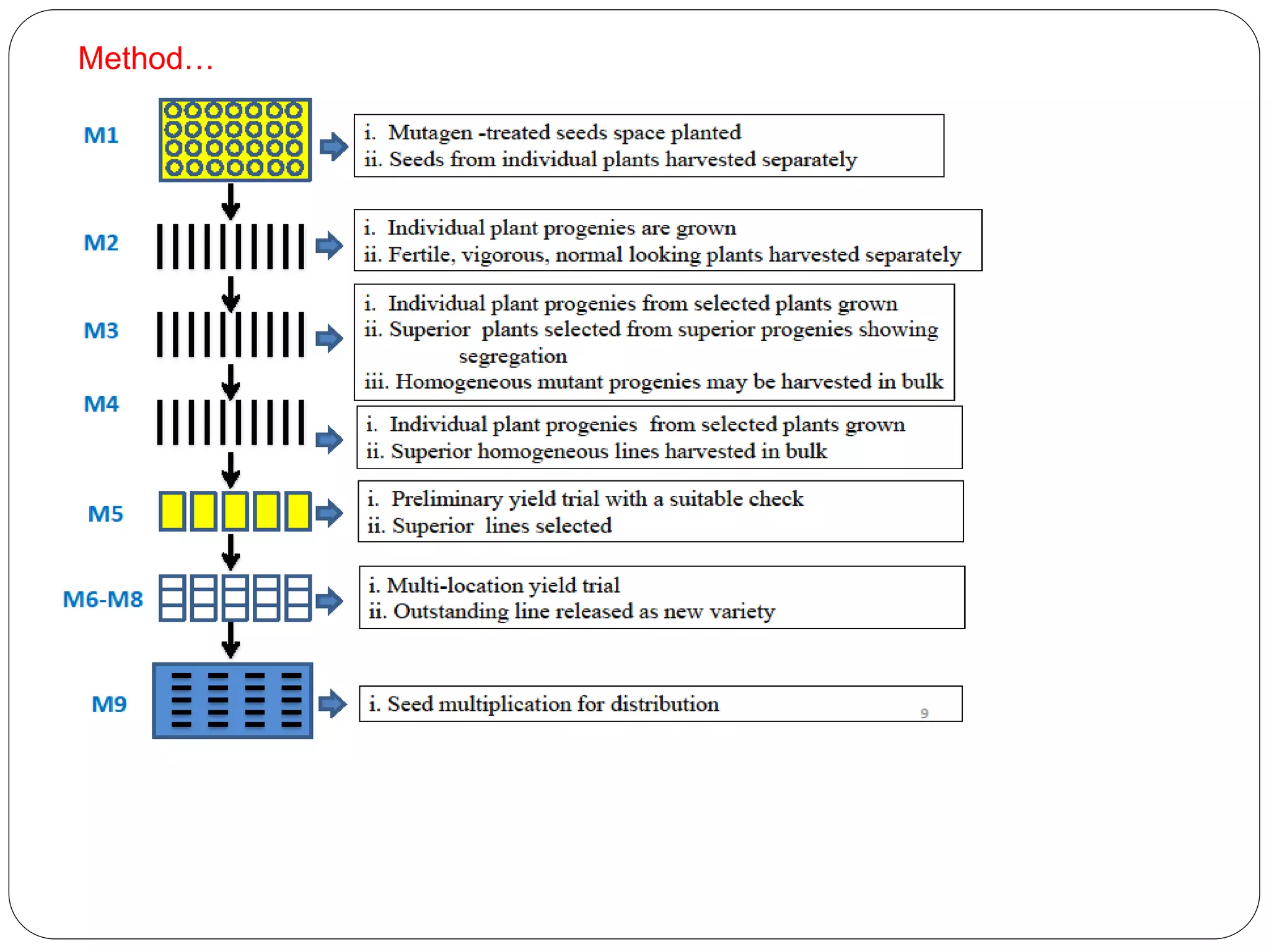 Role of mutation breding in crop improvement | PPTX