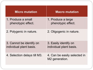 Role of mutation breding in crop improvement | PPTX