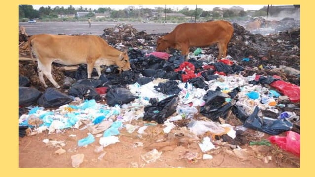 Biomedical Waste Management Rules 2016 | PDF | Infectious Diseases ...