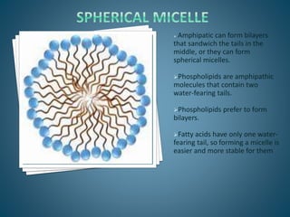 solubilization,Solubility and Micelle Formation | PPT