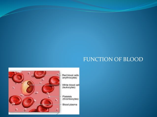 Blood | PPT