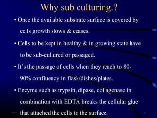 basic of animal cell culture | PPT