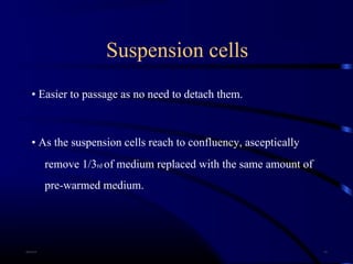 basic of animal cell culture | PPT