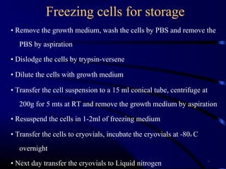 basic of animal cell culture | PPT