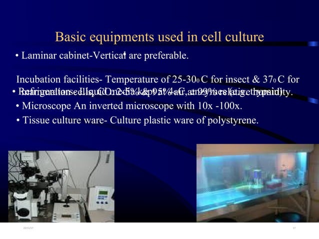 basic of animal cell culture | PPT