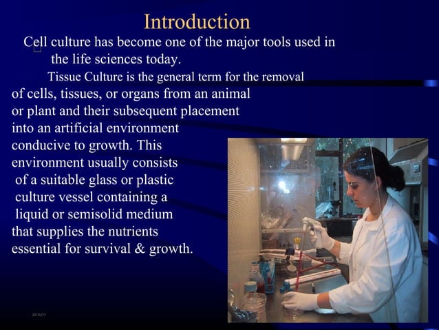 basic of animal cell culture | PPT