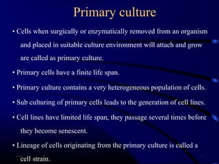 basic of animal cell culture | PPT