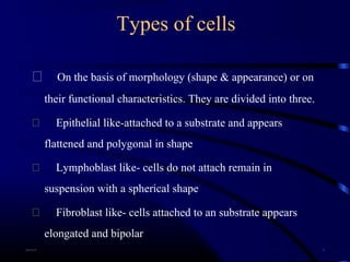 basic of animal cell culture | PPT
