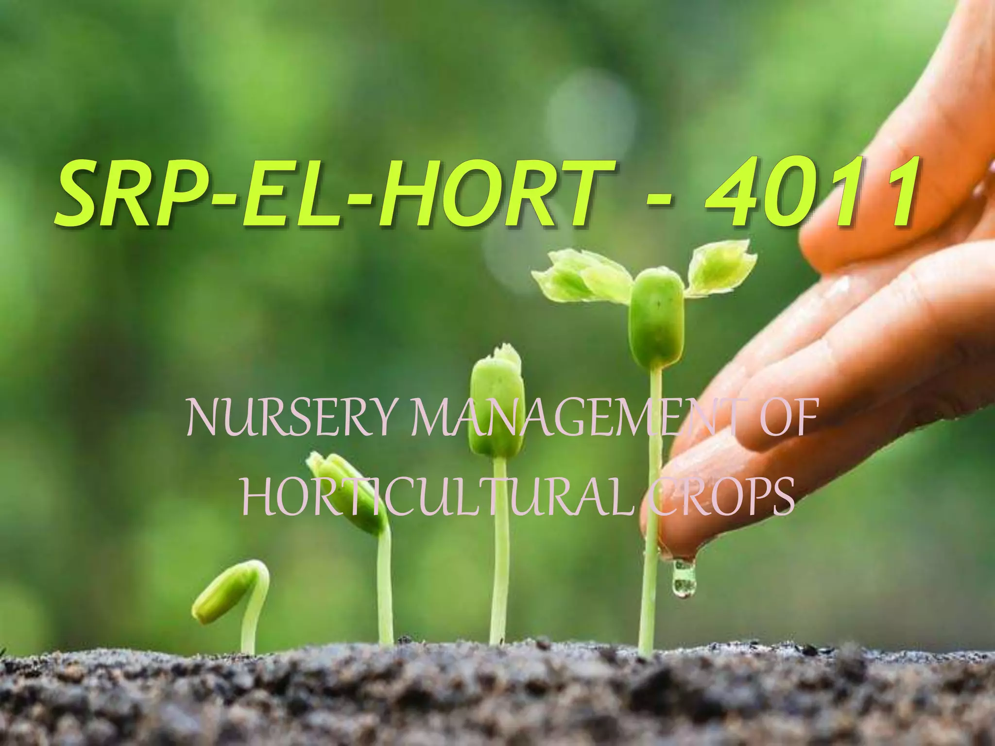 Prepartion of scion material of horticultural crops | PPTX