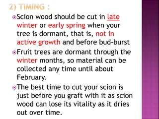 Prepartion of scion material of horticultural crops | PPTX