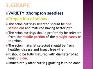 Prepartion of scion material of horticultural crops | PPTX
