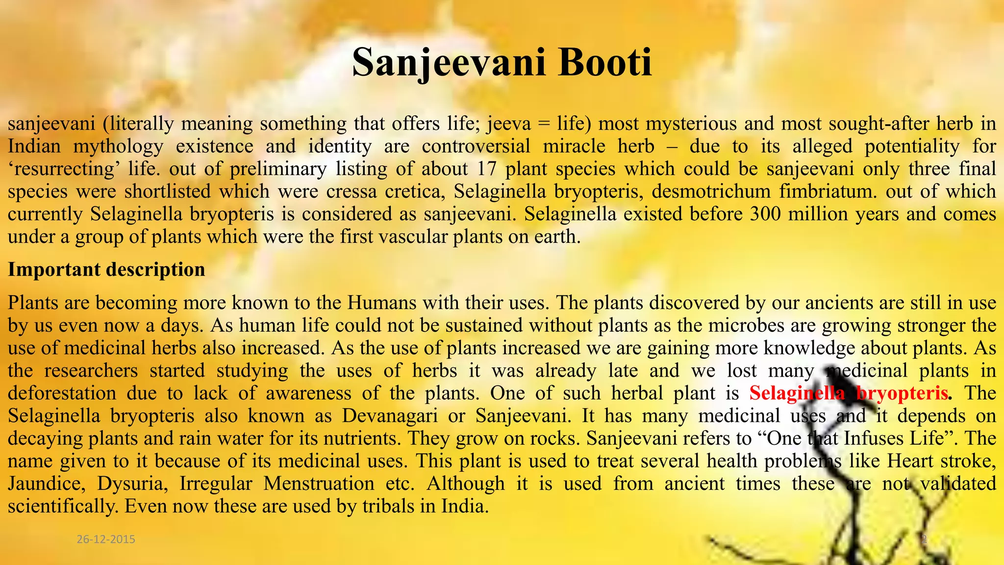 Sanjeevani bootis | PPTX